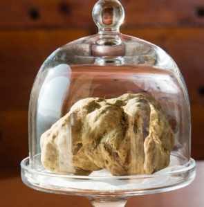 White Truffle from Alba Piemonte ONLY FROM NOVEMBER TO FEBRUARY ITALIA ...