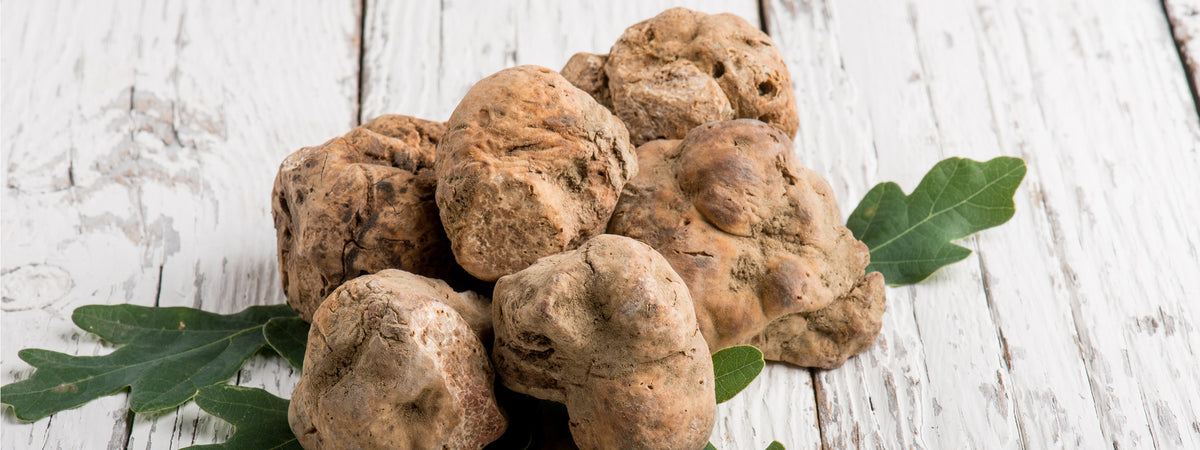 White Truffle from Alba Piemonte ONLY FROM NOVEMBER TO FEBRUARY ITALIA ...
